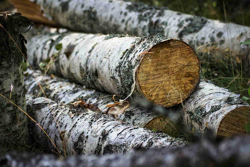Firewood Calgary - Same Day Delivery & Stacking